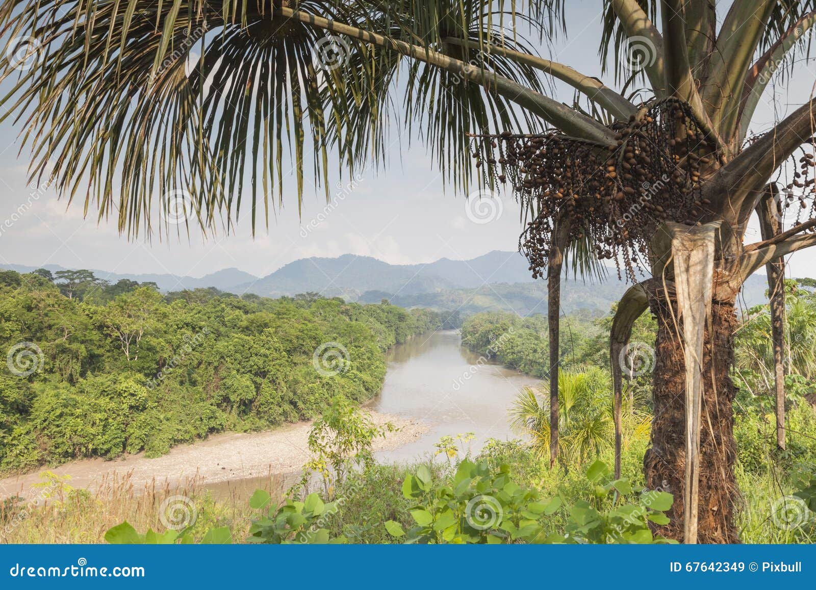 Foothills of Andes and Jungle Stock Image - Image of river, peru: 67642349