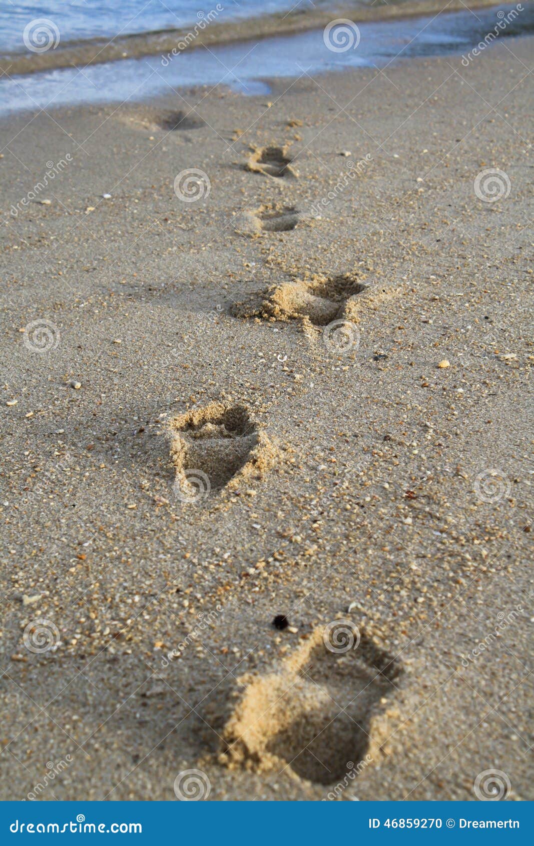 Footmark on beach stock photo. Image of calm, natural - 46859270