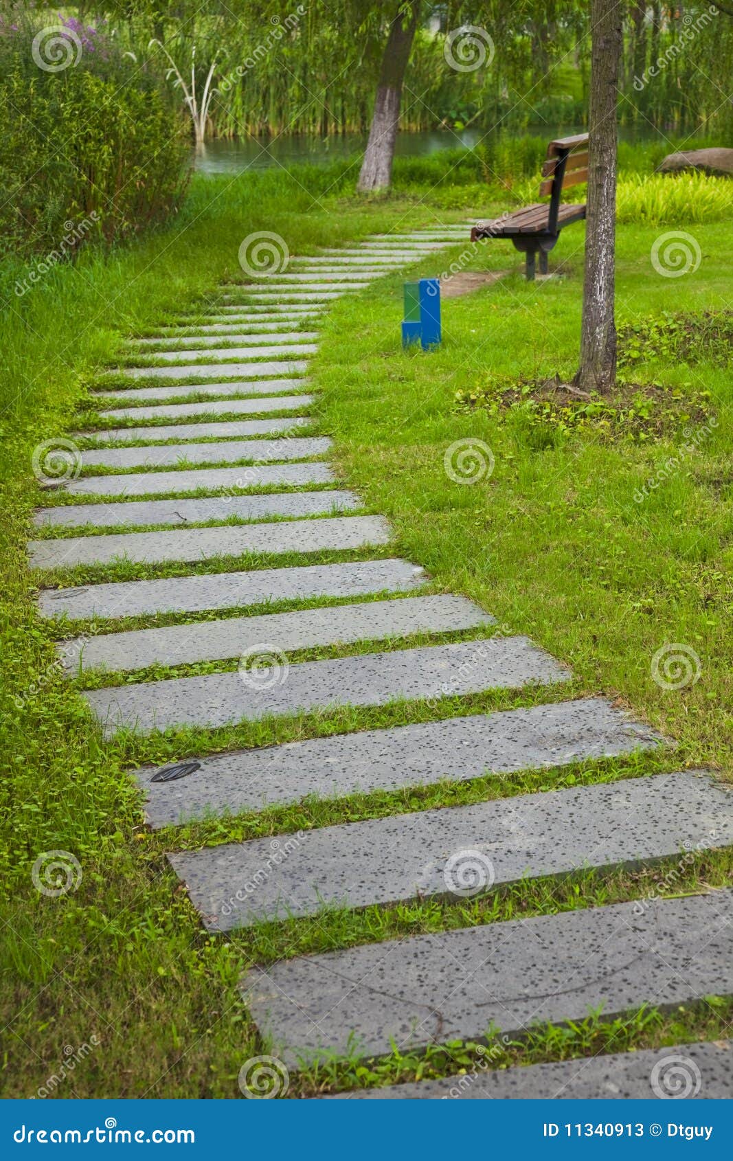 Footpath stock image. Image of beautiful, grass, plant - 11340913