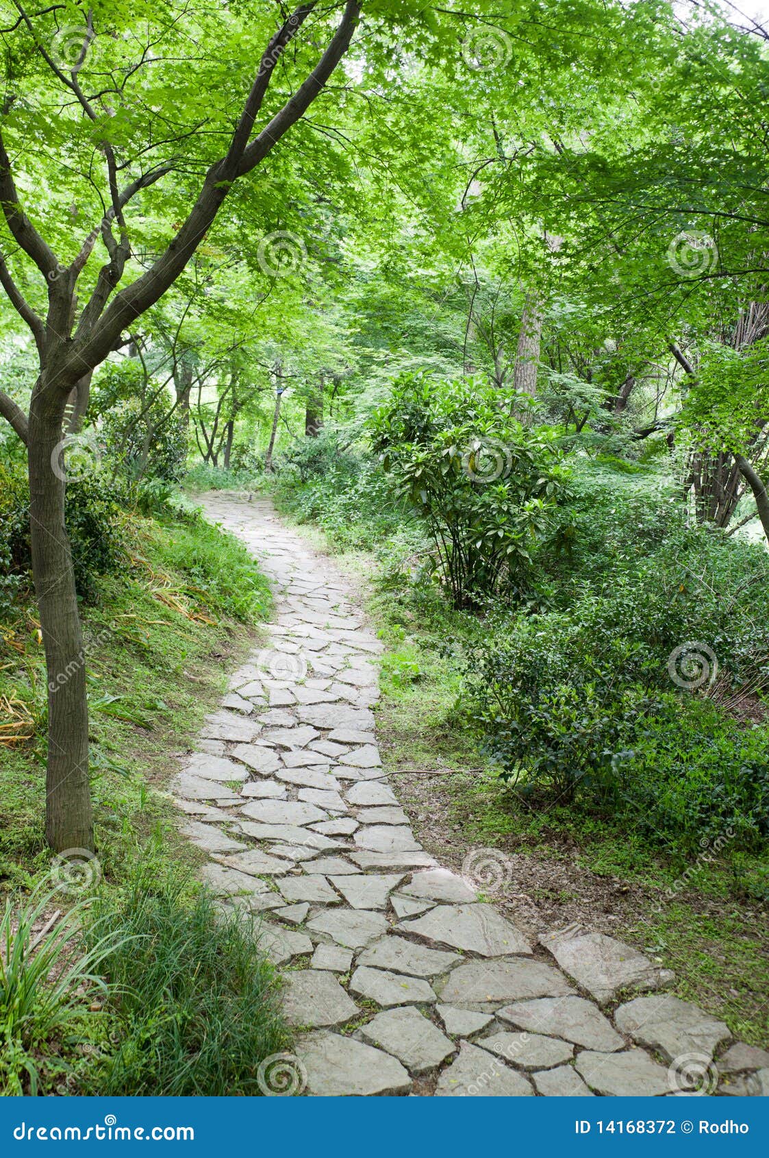 Footpath stock photo. Image of country, color, leaf, backyard - 14168372