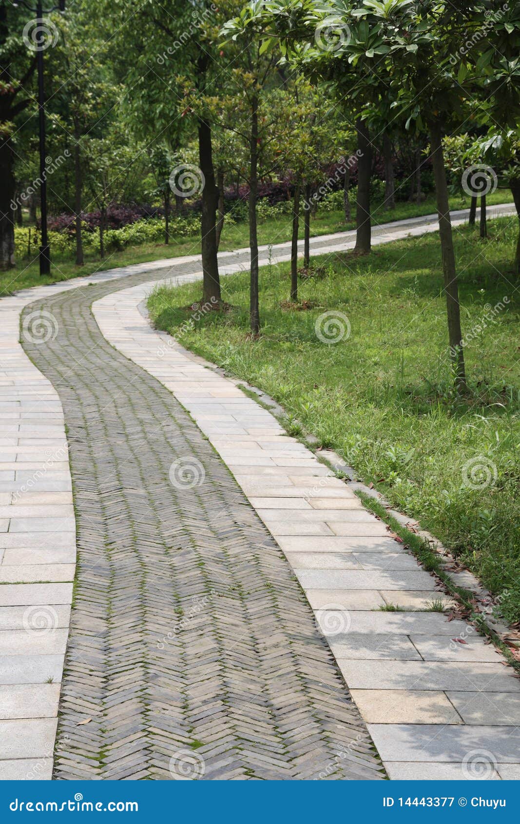 Footpath stock image. Image of flower, country, landscape - 14443377