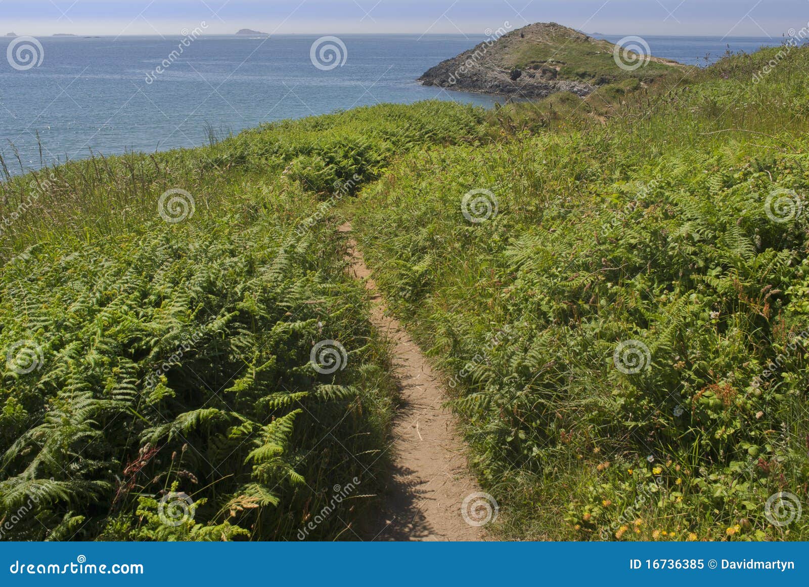 Footpath stock image. Image of rambling, path, dyfed - 16736385