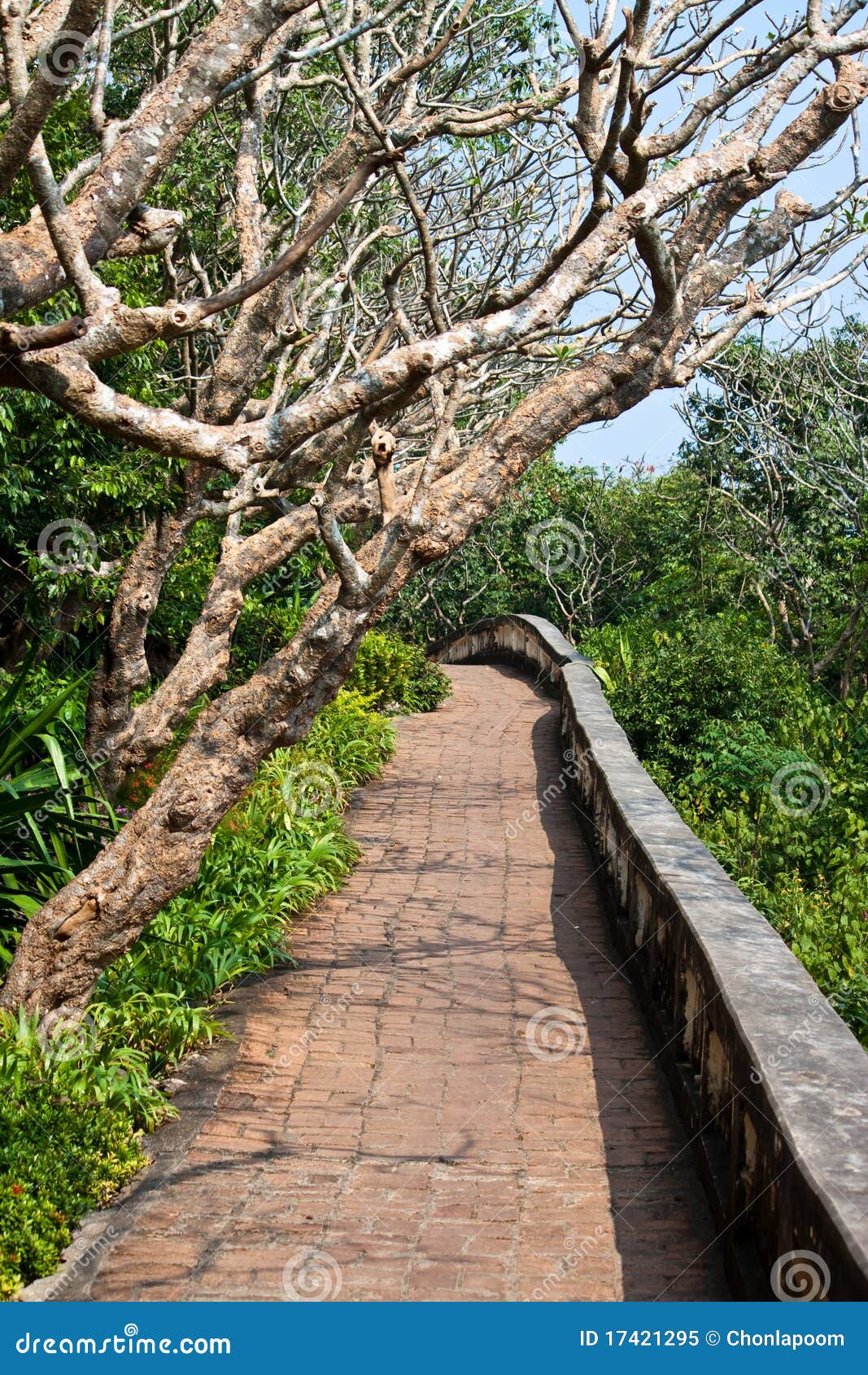 Footpath stock image. Image of footpath, beautiful, colorful - 17421295