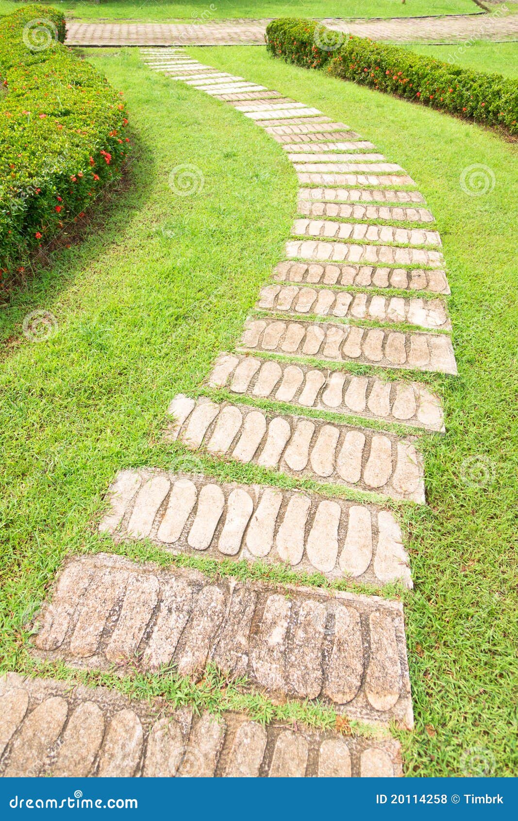 Footpath stock photo. Image of paving, walkway, pavestone - 20114258