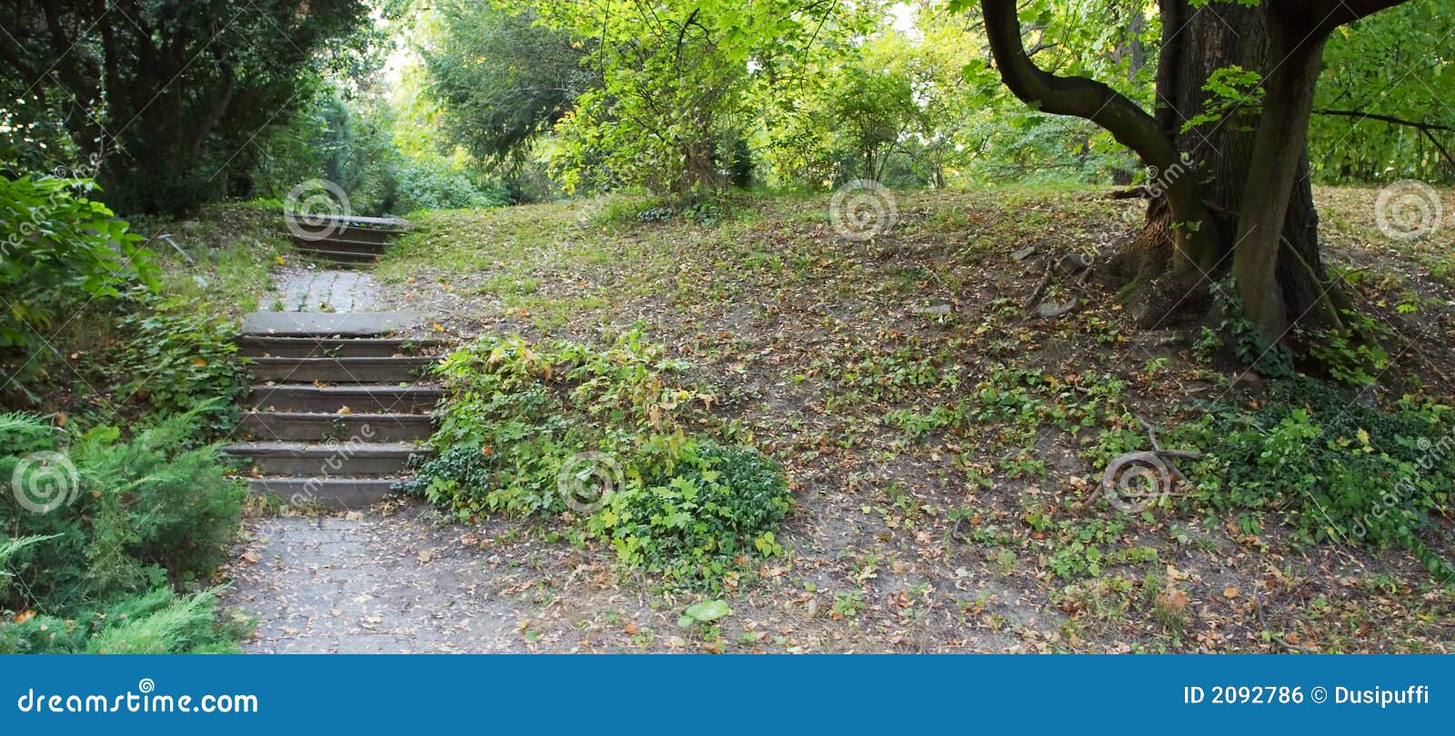 Footpath stock photo. Image of foliage, solitude, shank - 2092786