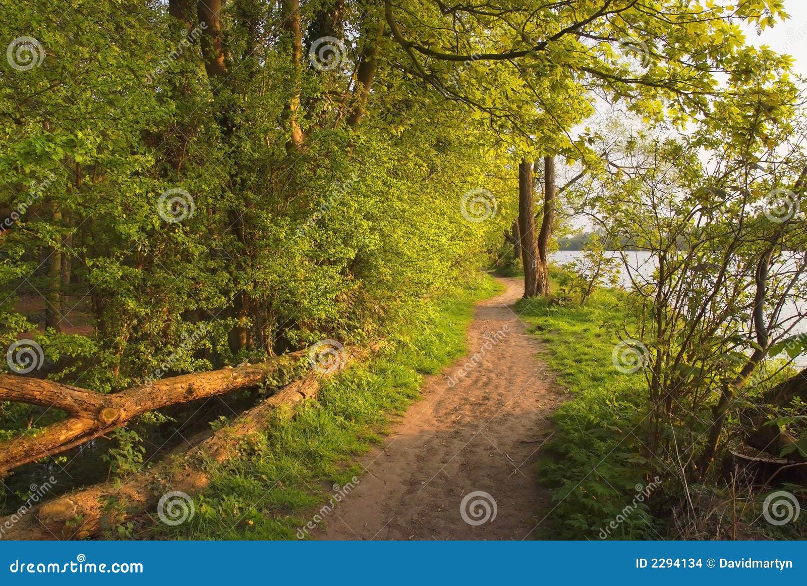 Footpath stock photo. Image of lakes, country, distance - 2294134