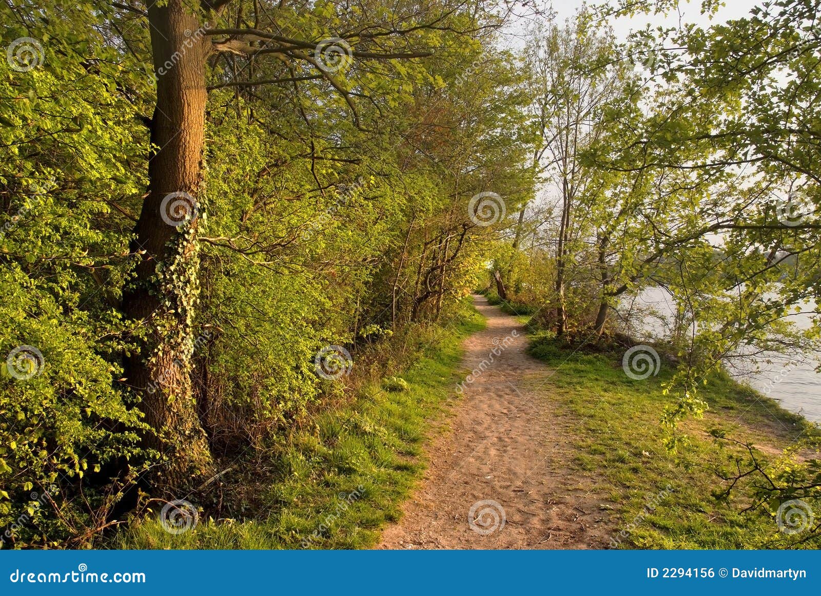 Footpath stock photo. Image of exerceising, pretty, healthy - 2294156