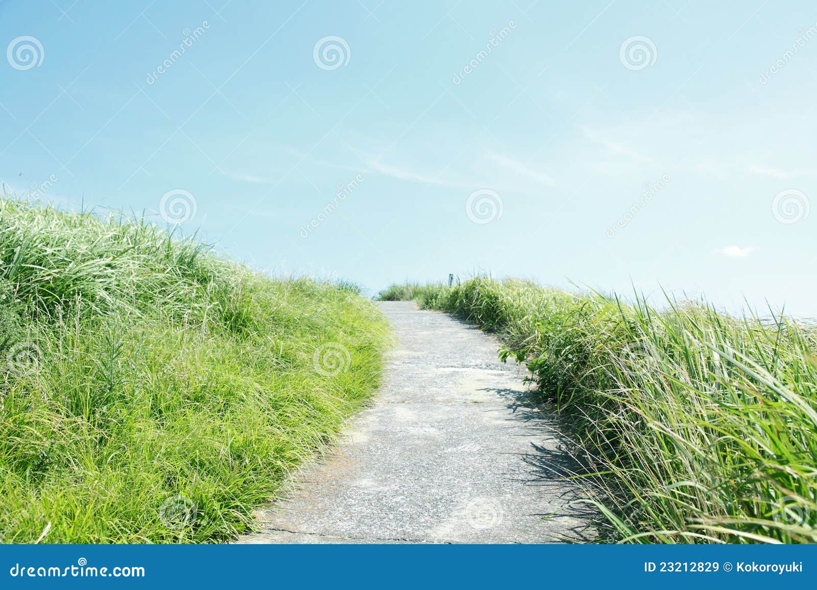 Footpath stock image. Image of walkway, nature, single - 23212829