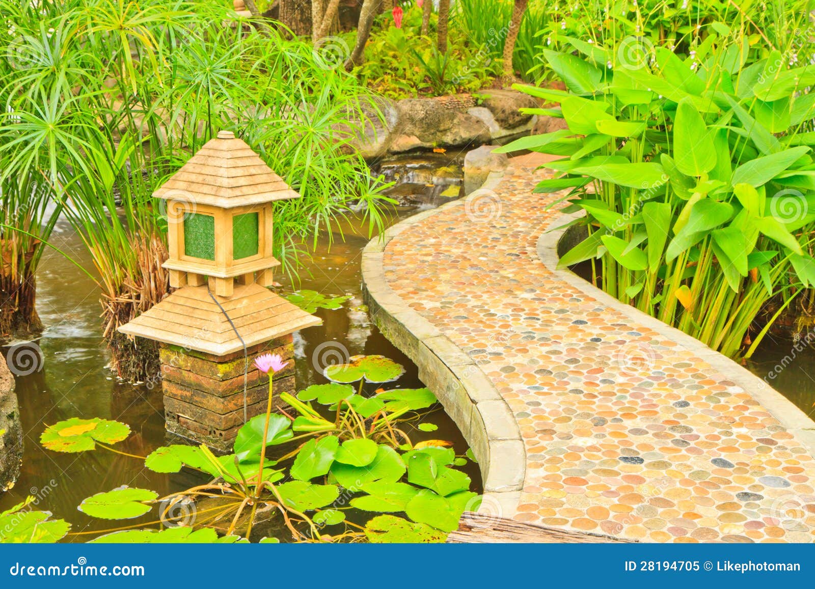 Footpath stock image. Image of foliage, nature, footpath - 28194705