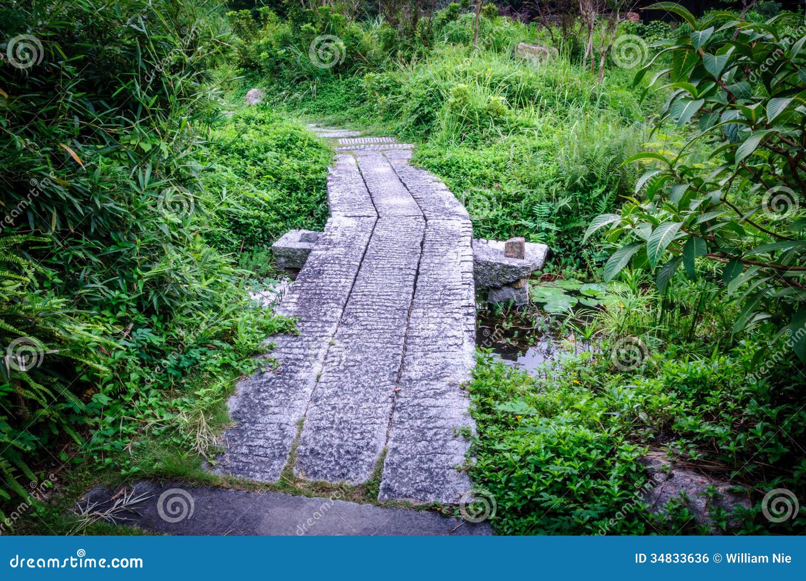 Footpath stock photo. Image of park, walk, nature, recreation - 34833636
