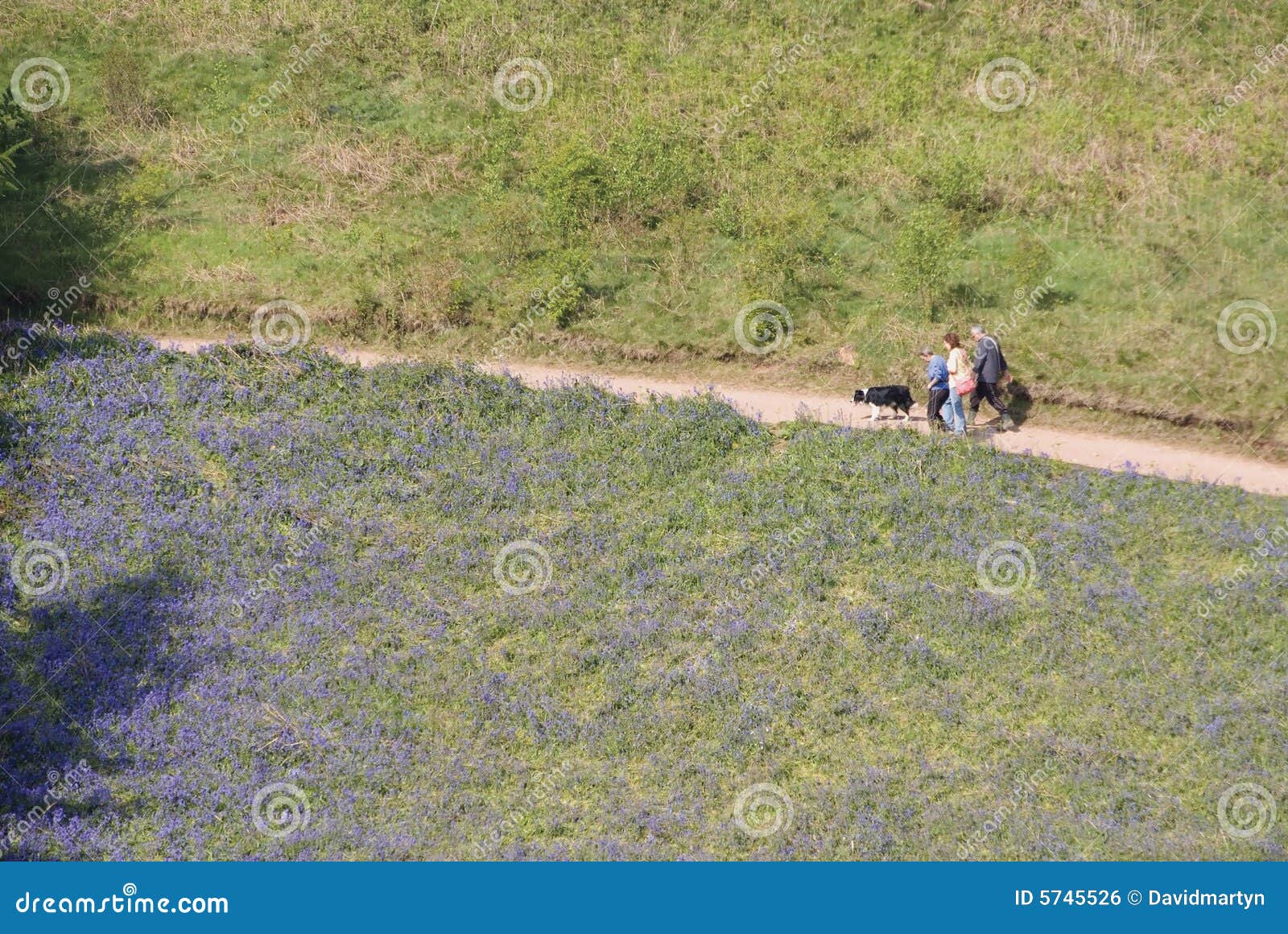 Footpath stock photo. Image of long, hiking, pretty, healthy - 5745526