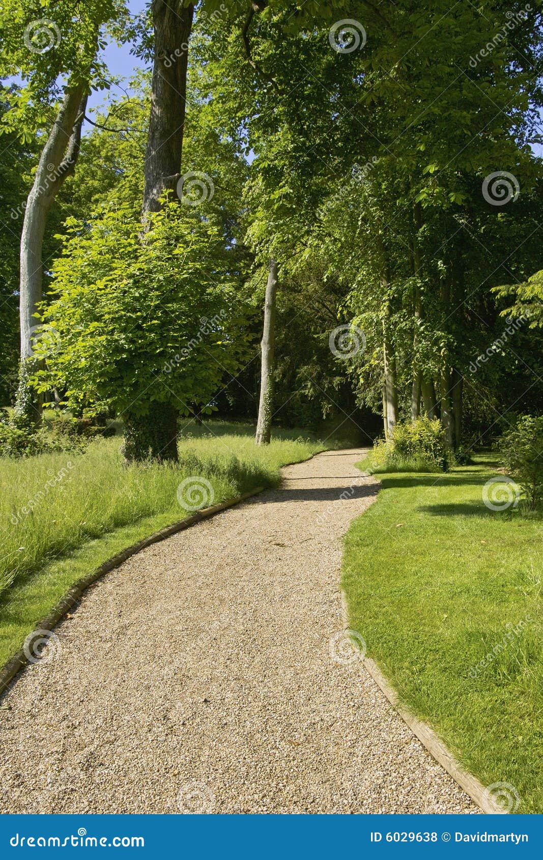 Footpath stock photo. Image of track, countryside, trees - 6029638