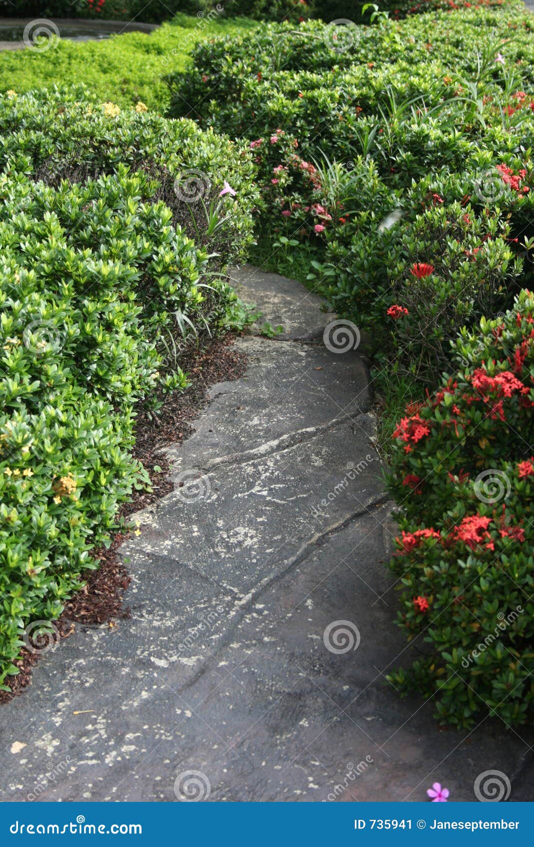 Footpath stock image. Image of nature, destination, infinity - 735941
