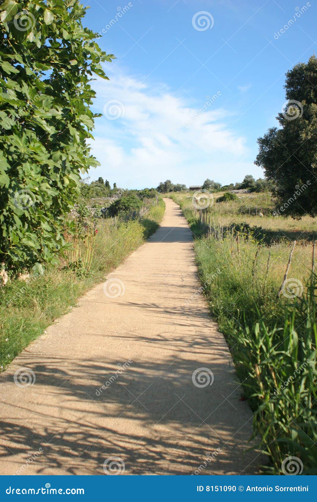 Footpath stock photo. Image of narrow, destination, pathway - 8151090