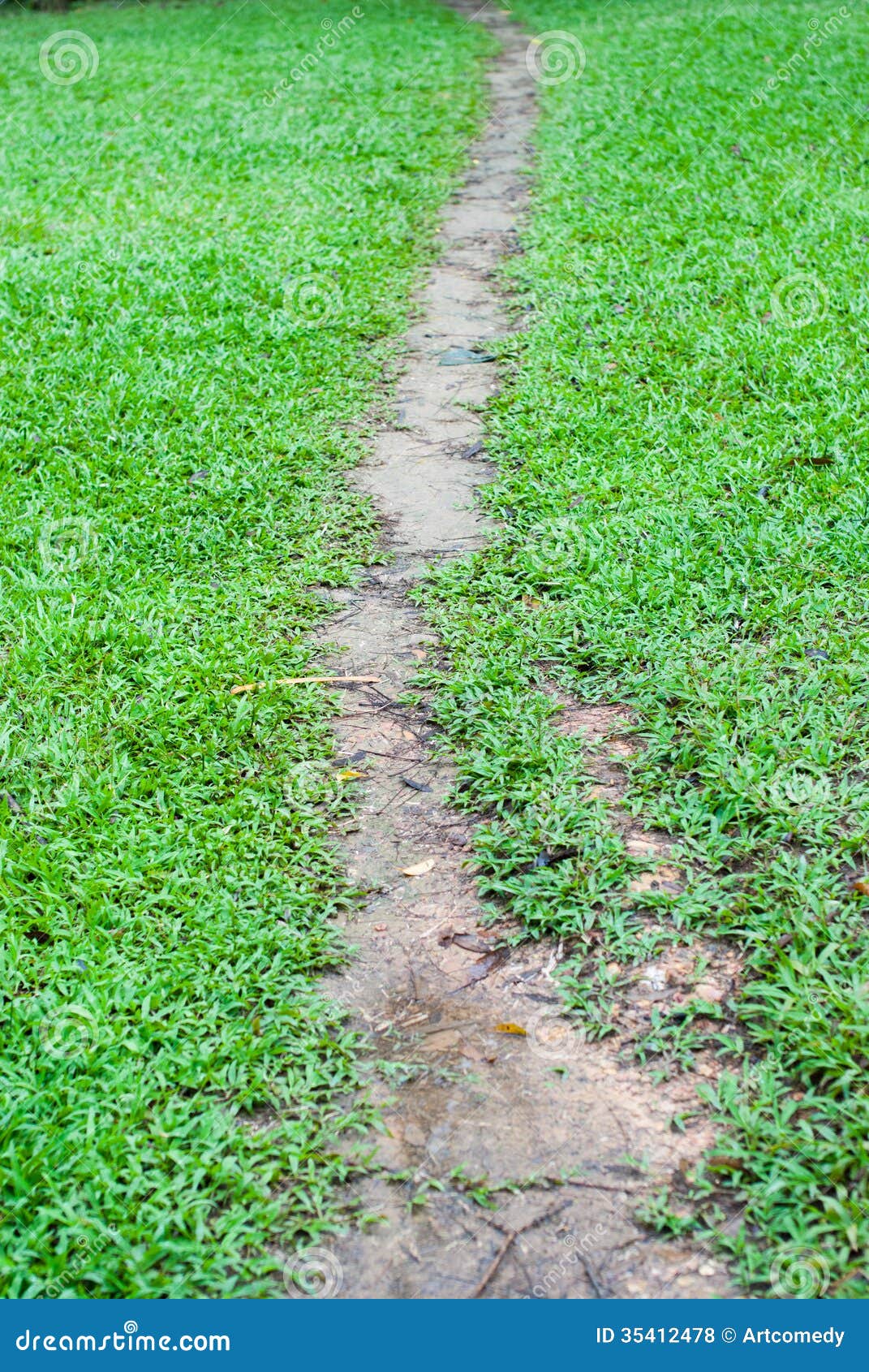 Footpath across the field stock photo. Image of outdoors - 35412478