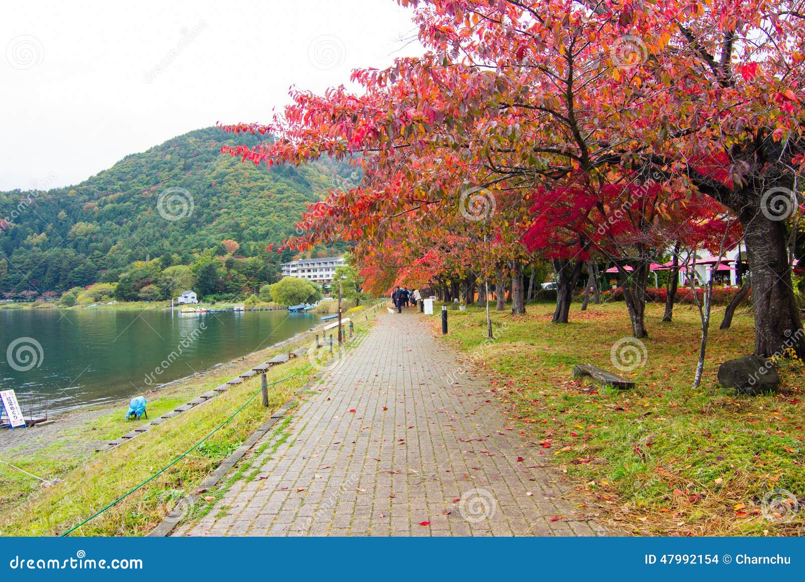 Footpath Along Kawaguchiko Lake Editorial Stock Image - Image of yellow ...
