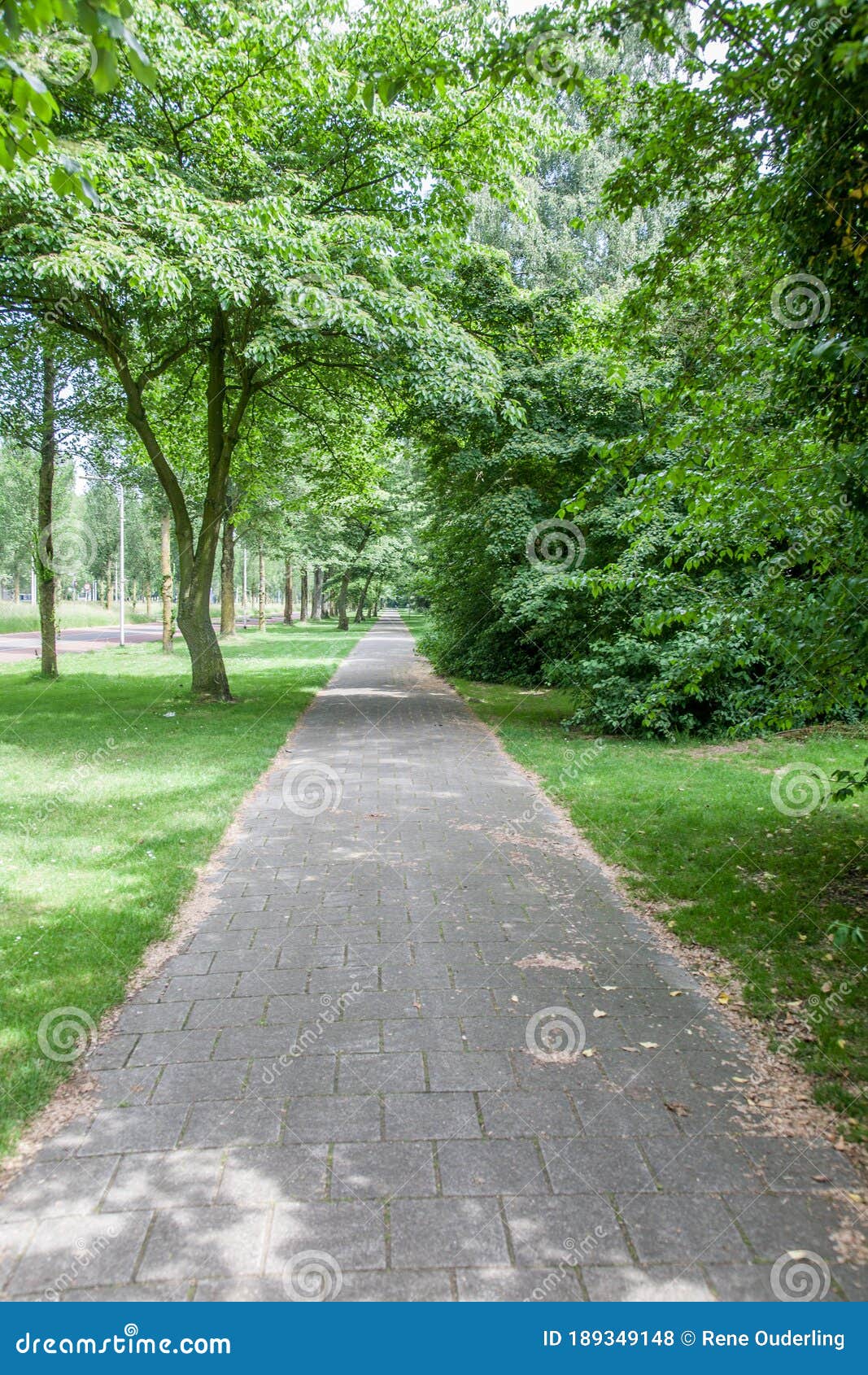 Footpath Alongside Trees and Vegetation Stock Photo - Image of sidewalk ...
