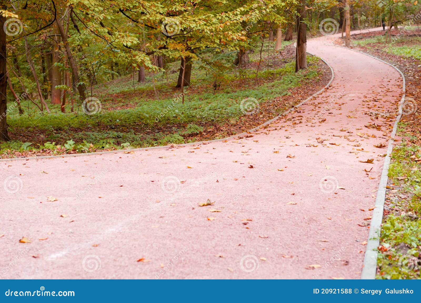 Footpath in autumn park stock photo. Image of park, beautiful - 20921588