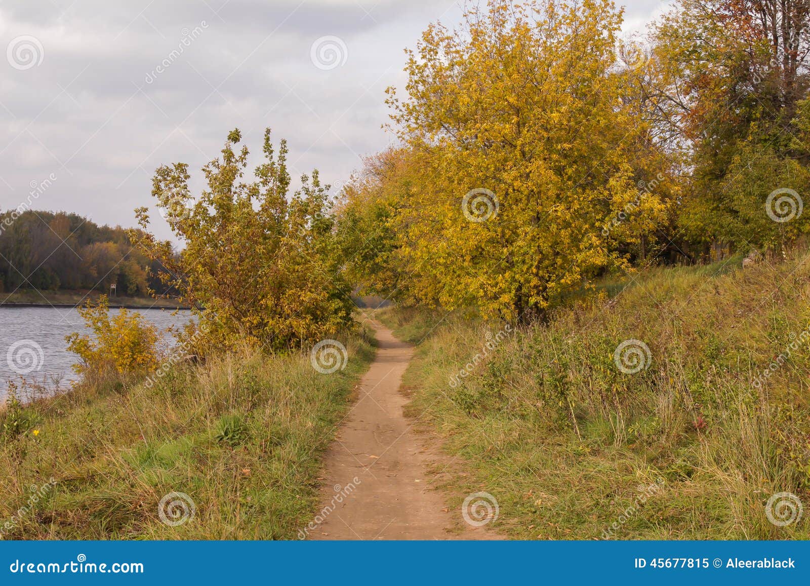 Footpath stock image. Image of leaf, light, foliage, green - 45677815