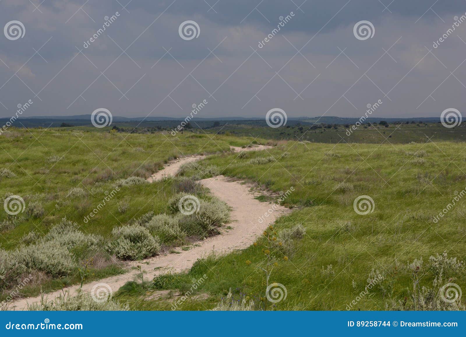 Footpath stock photo. Image of excavations, israel, israeli - 89258744