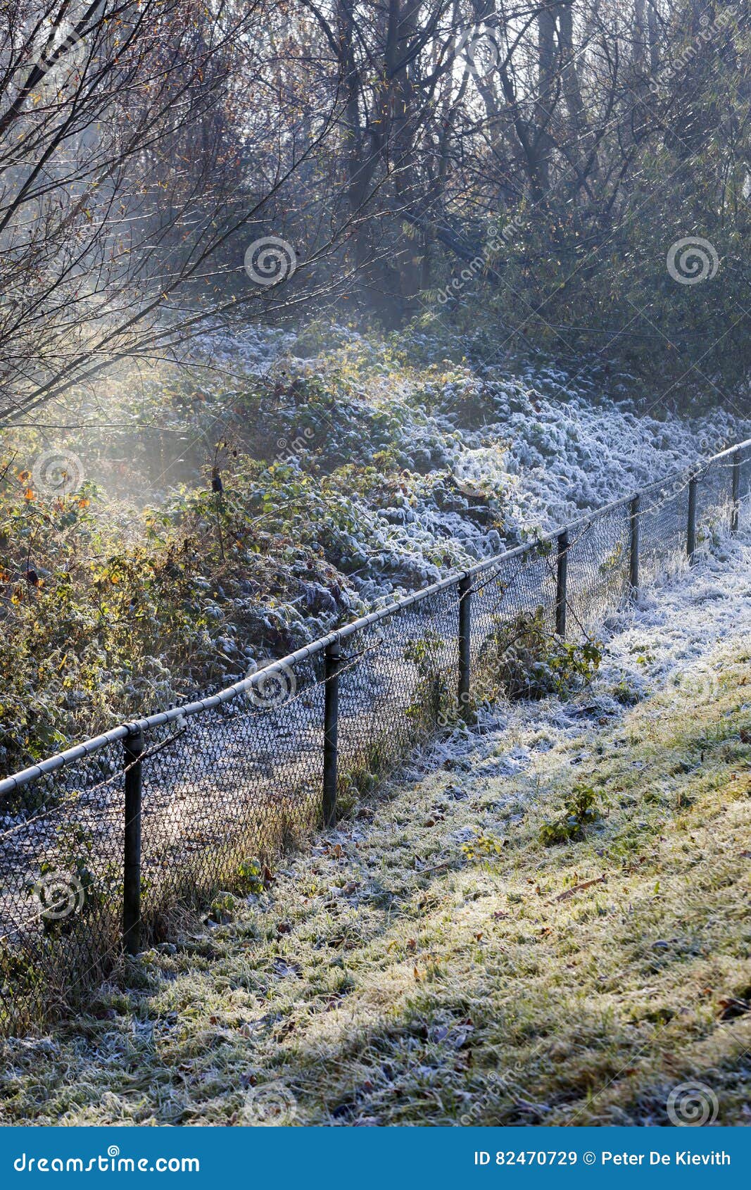 Footpath behind the fence stock image. Image of fence - 82470729