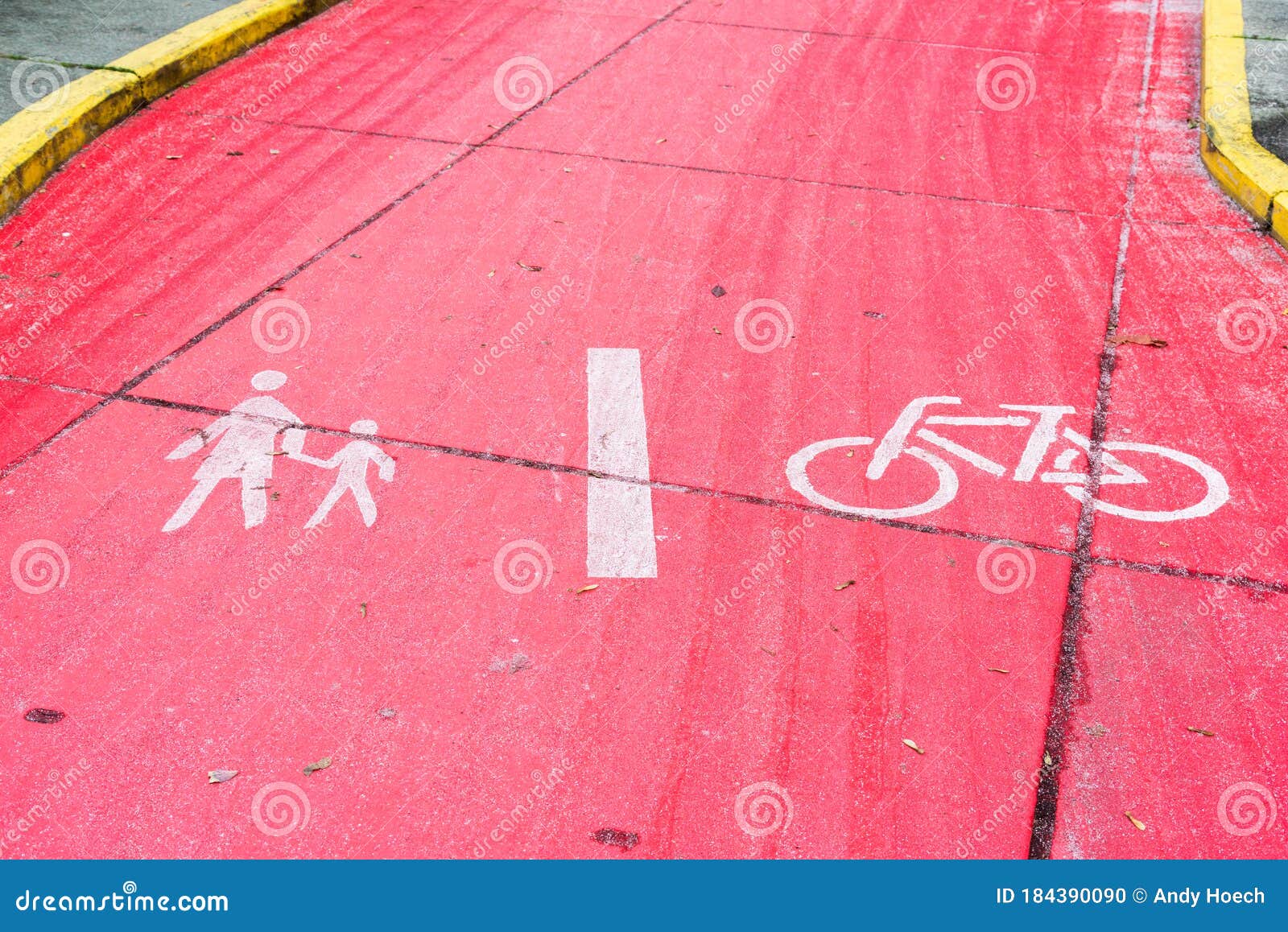 Footpath and Bike Path Divided by a White Line Stock Photo - Image of ...