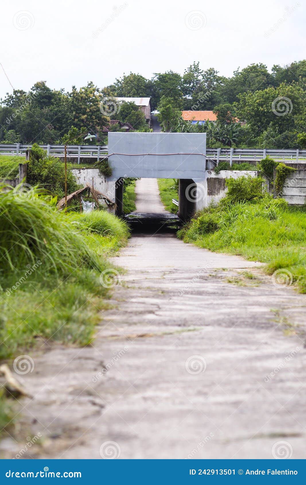 A Footpath with a Bridge Over it Stock Image - Image of stream ...