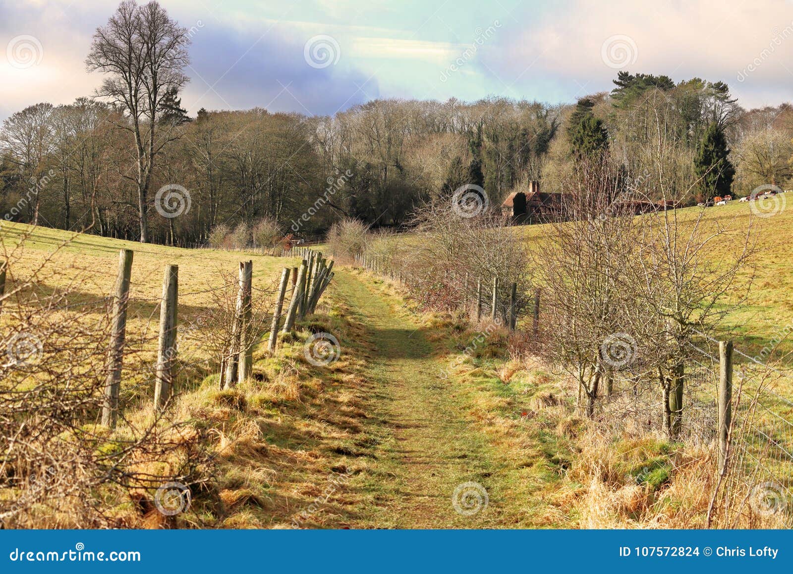 Footpath in the Chiltern Hills, UK Stock Photo - Image of path, posts ...