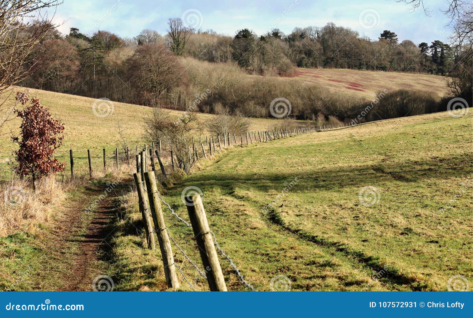 Footpath in the Chiltern Hills, UK Stock Image - Image of parallels ...
