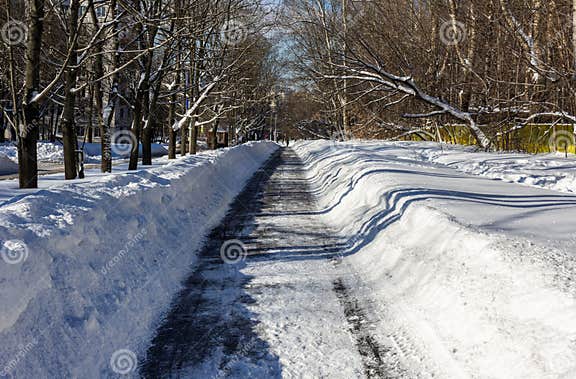Footpath cleared of snow stock photo. Image of temperature - 210676064