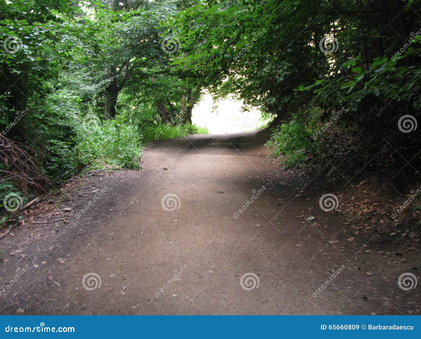 Footpath stock image. Image of road, natural, europe - 65660809