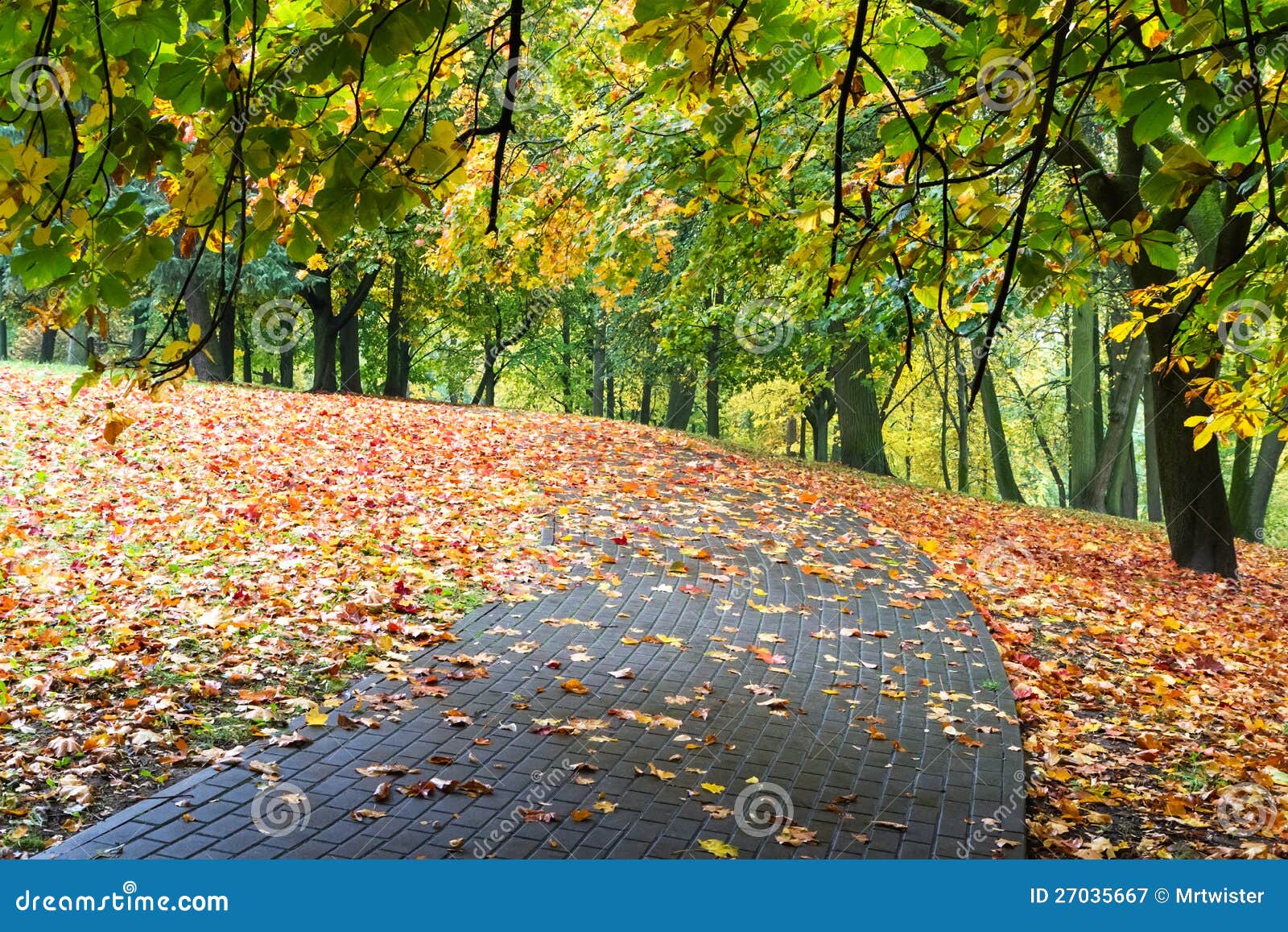 Footpath in fall stock image. Image of footpath, forest - 27035667