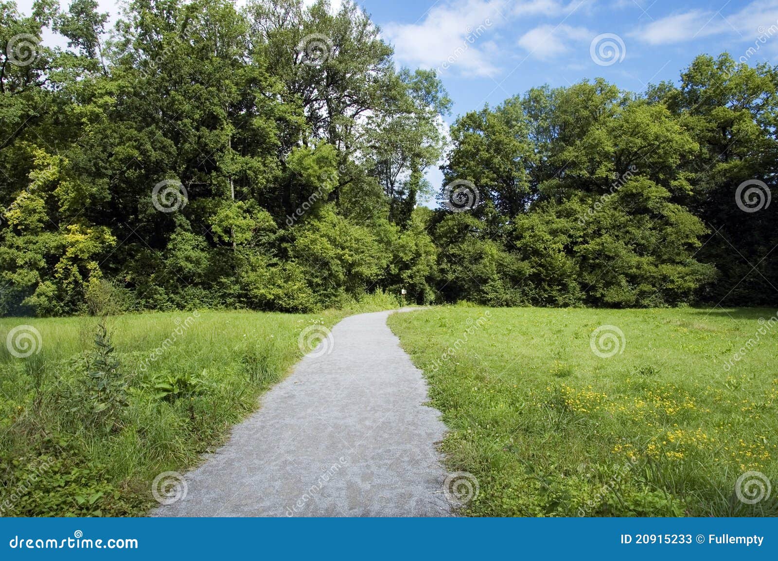 Footpath in the Field and Forest Stock Image - Image of field, meadows ...