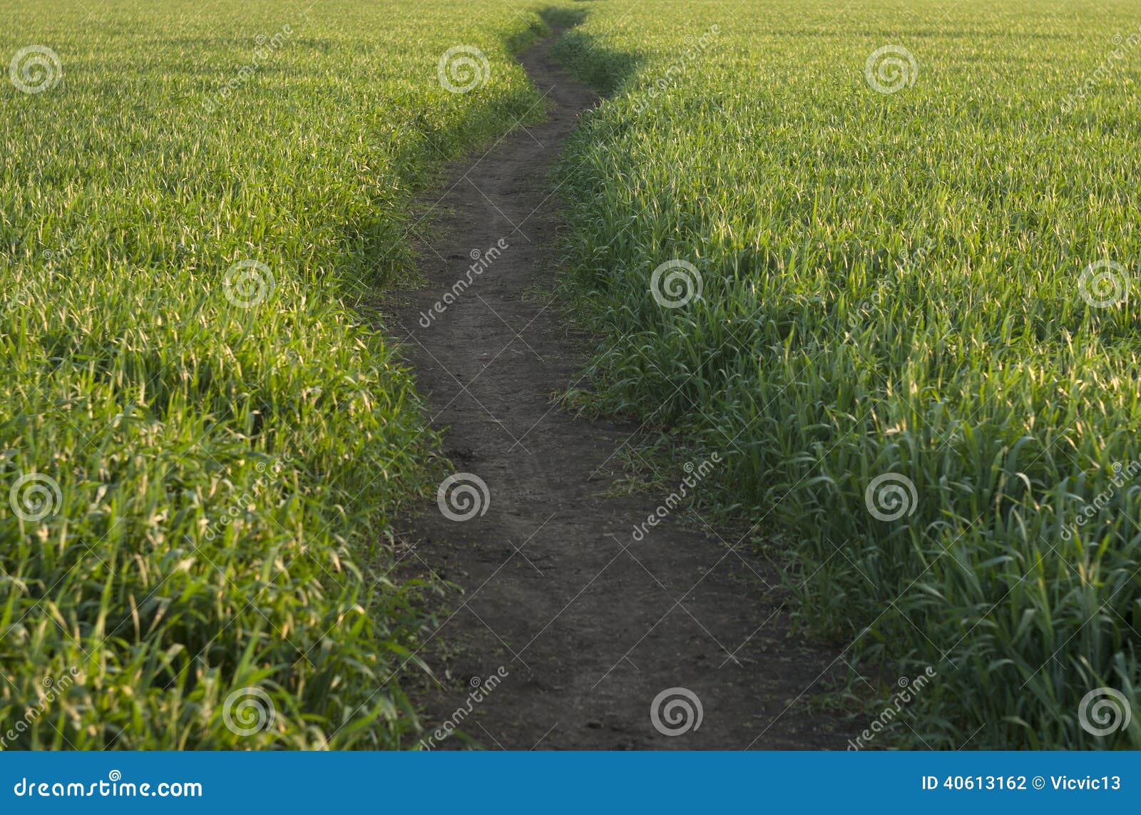 Footpath stock photo. Image of field, winding, green - 40613162