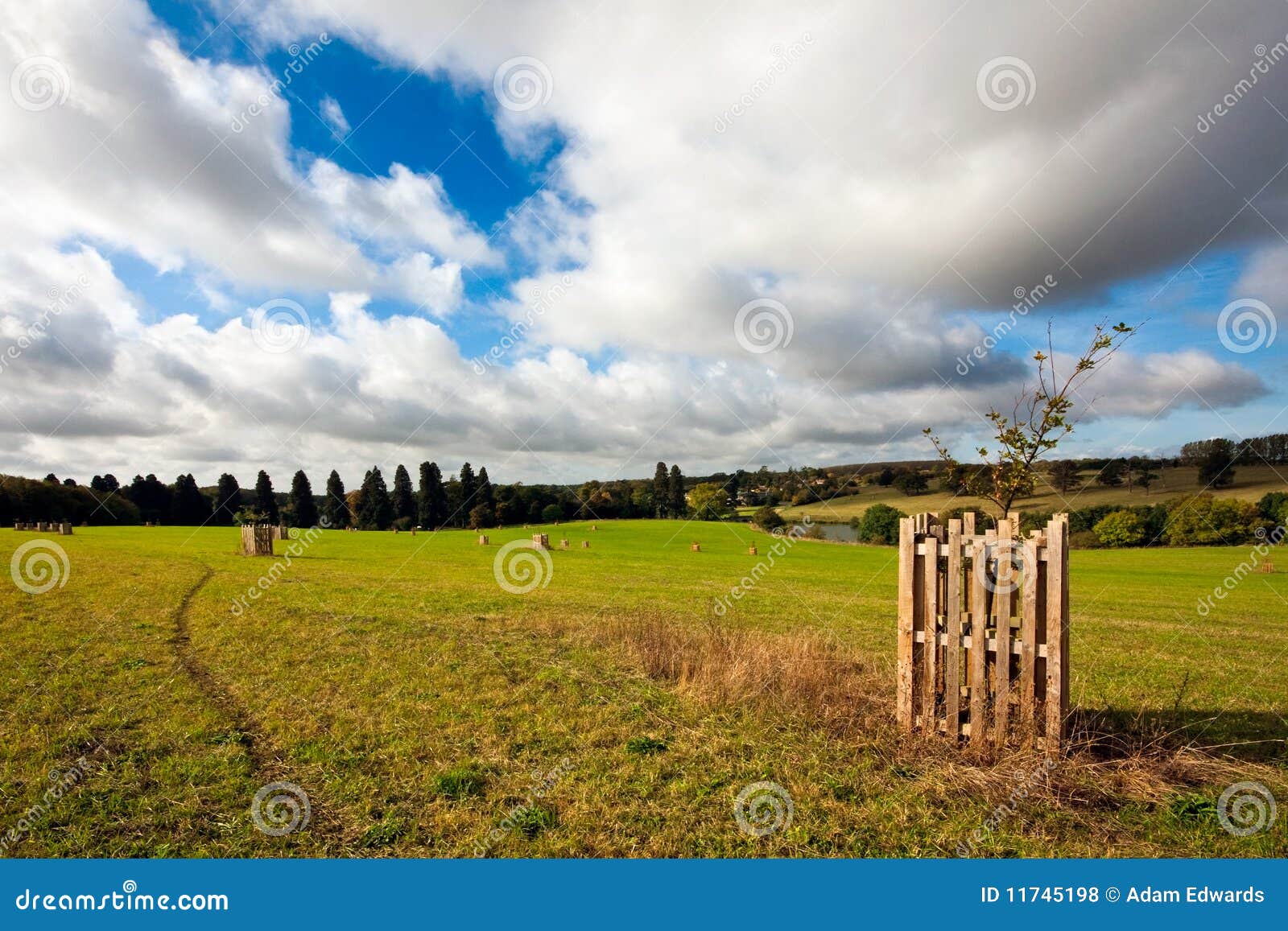Footpath through a Field Under a Cloudy Blue Sky Stock Photo - Image of ...