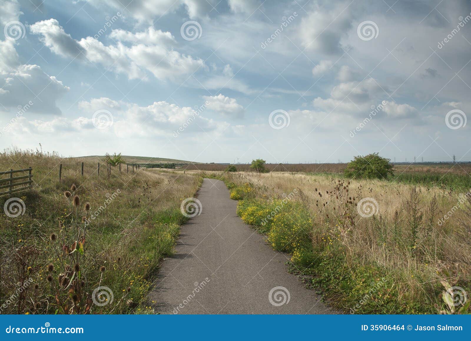 Footpath through Fields, England Stock Photo - Image of idyllic ...