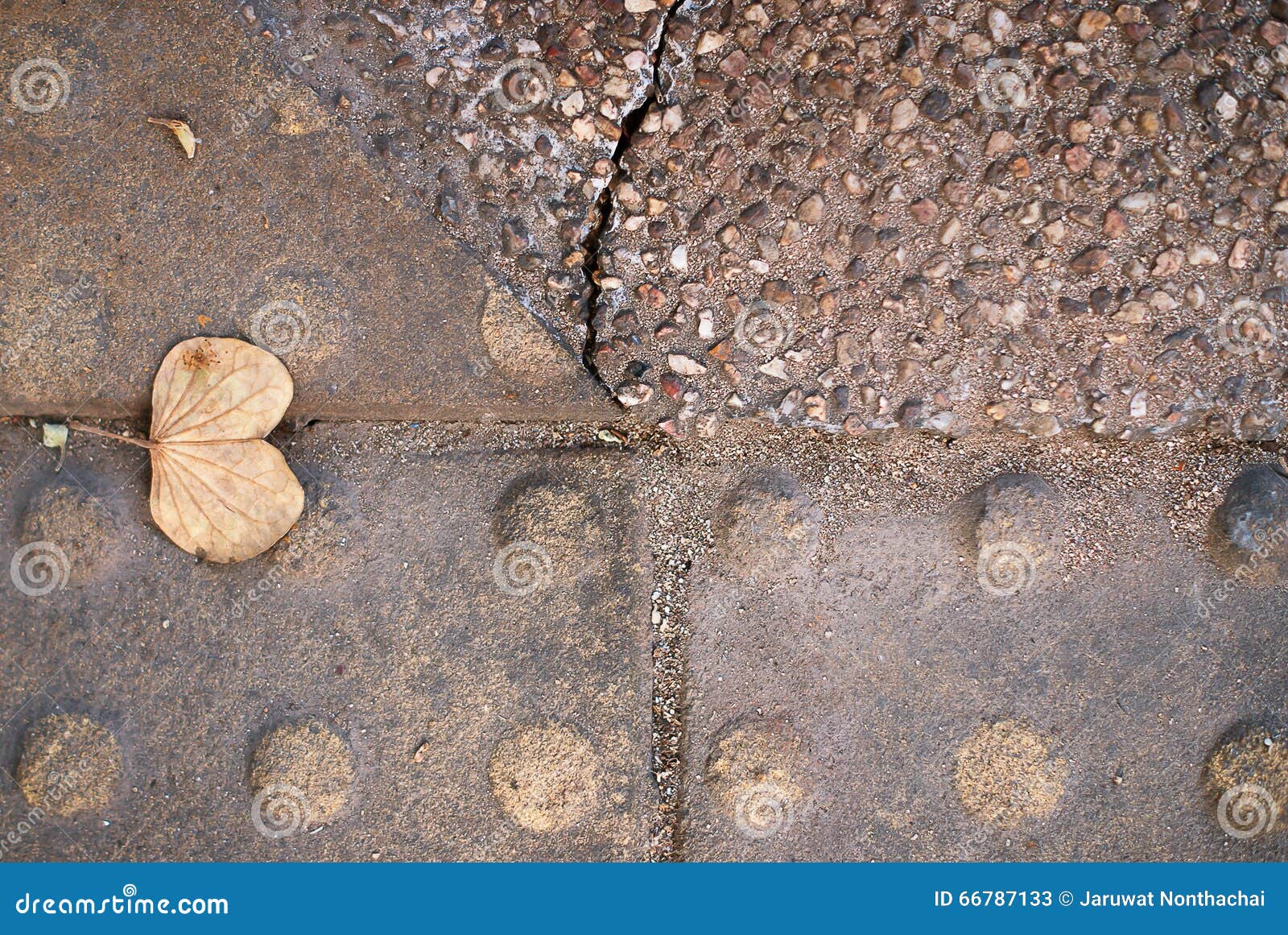 Footpath floor with leave stock image. Image of brick - 66787133