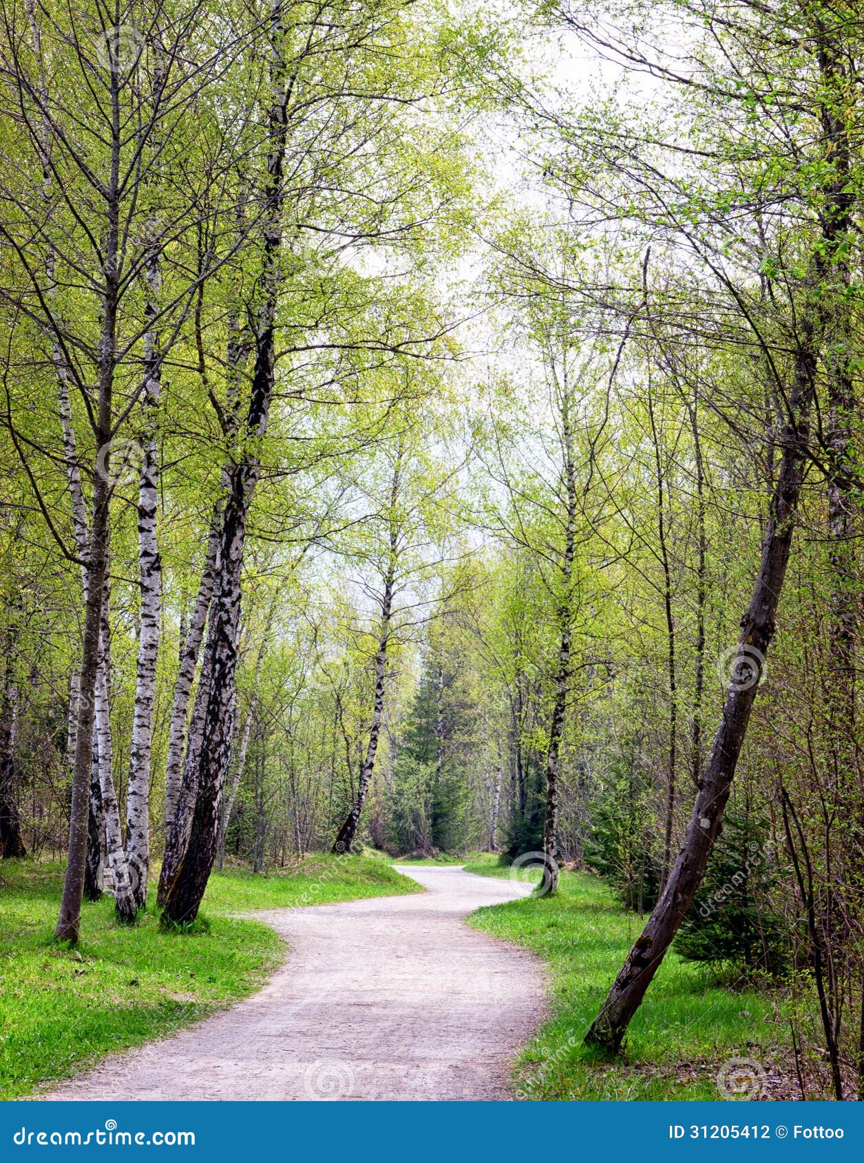 Footpath stock photo. Image of tranquil, idyllic, oldfashioned - 31205412