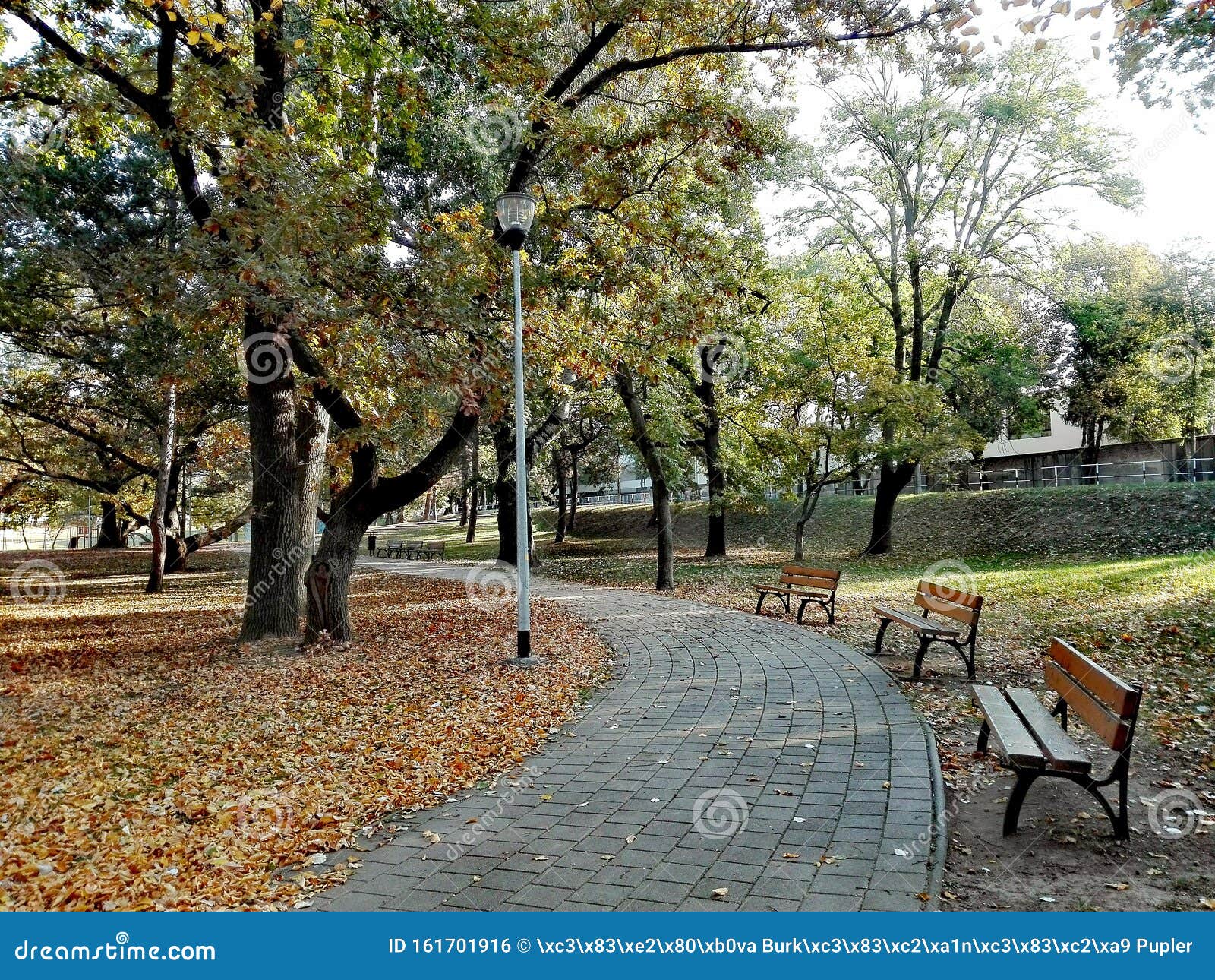 Footpath in Front of Benches Stock Photo - Image of pylon, front: 161701916