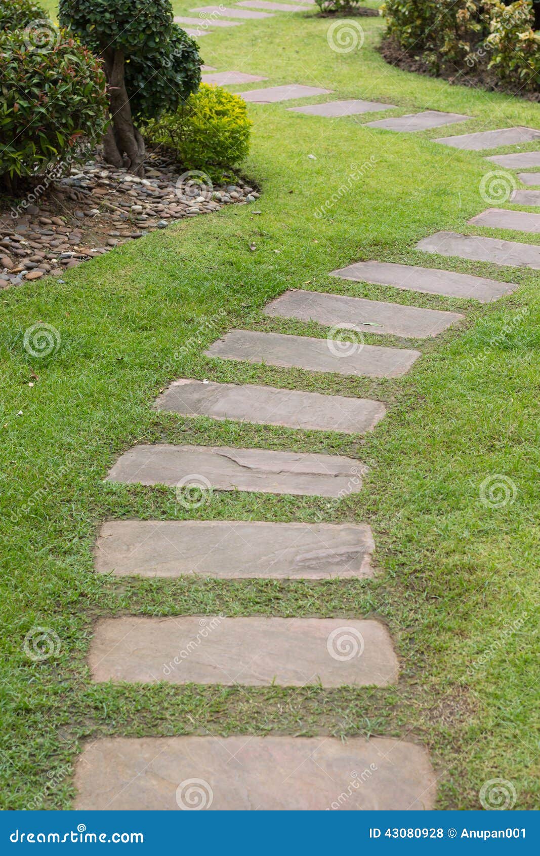 Footpath stock photo. Image of gardening, yard, curve - 43080928