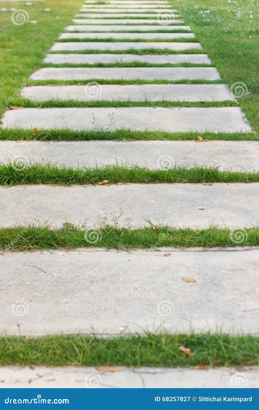 Footpath in the garden stock image. Image of summer, natural - 68257827