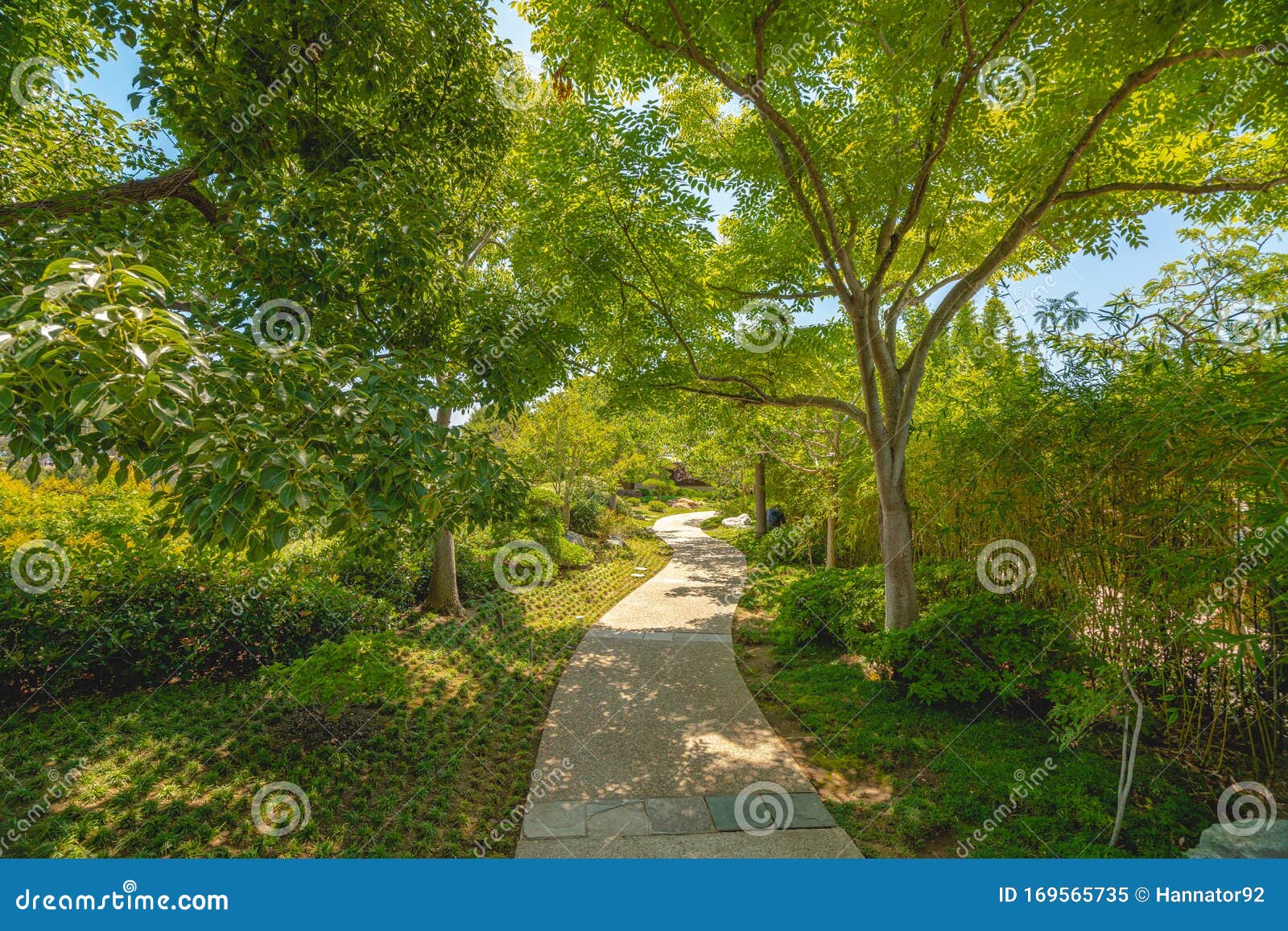 Footpath in the garden stock image. Image of bush, natural - 169565735