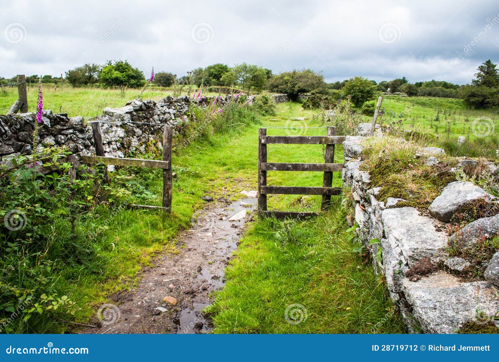 Footpath through a Gate on Bodmin Moor Stock Photo - Image of wall ...