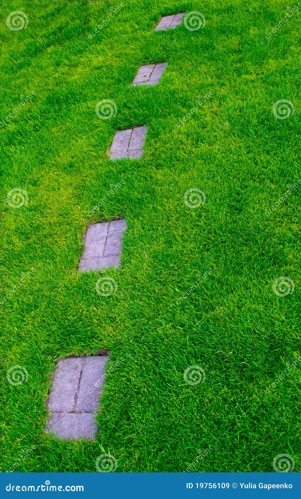 Footpath on a grass stock image. Image of exterior, color - 19756109