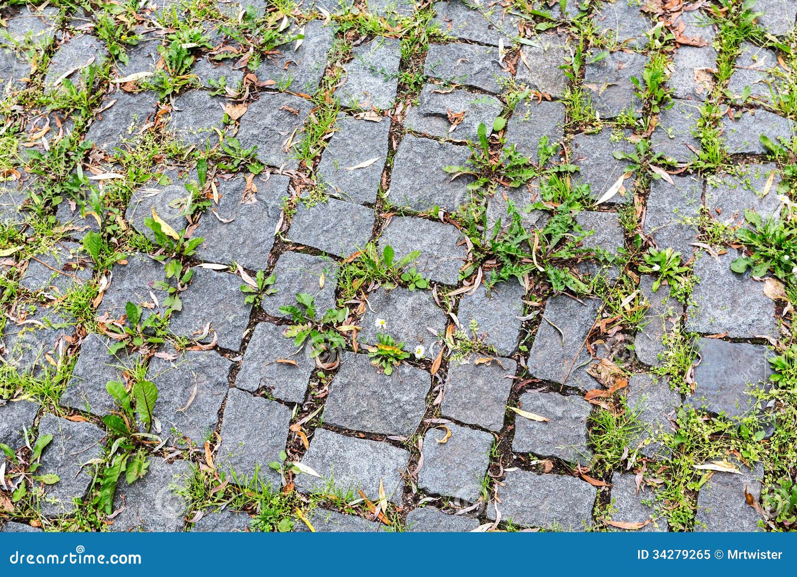 Footpath with grass stock image. Image of texture, plant - 34279265