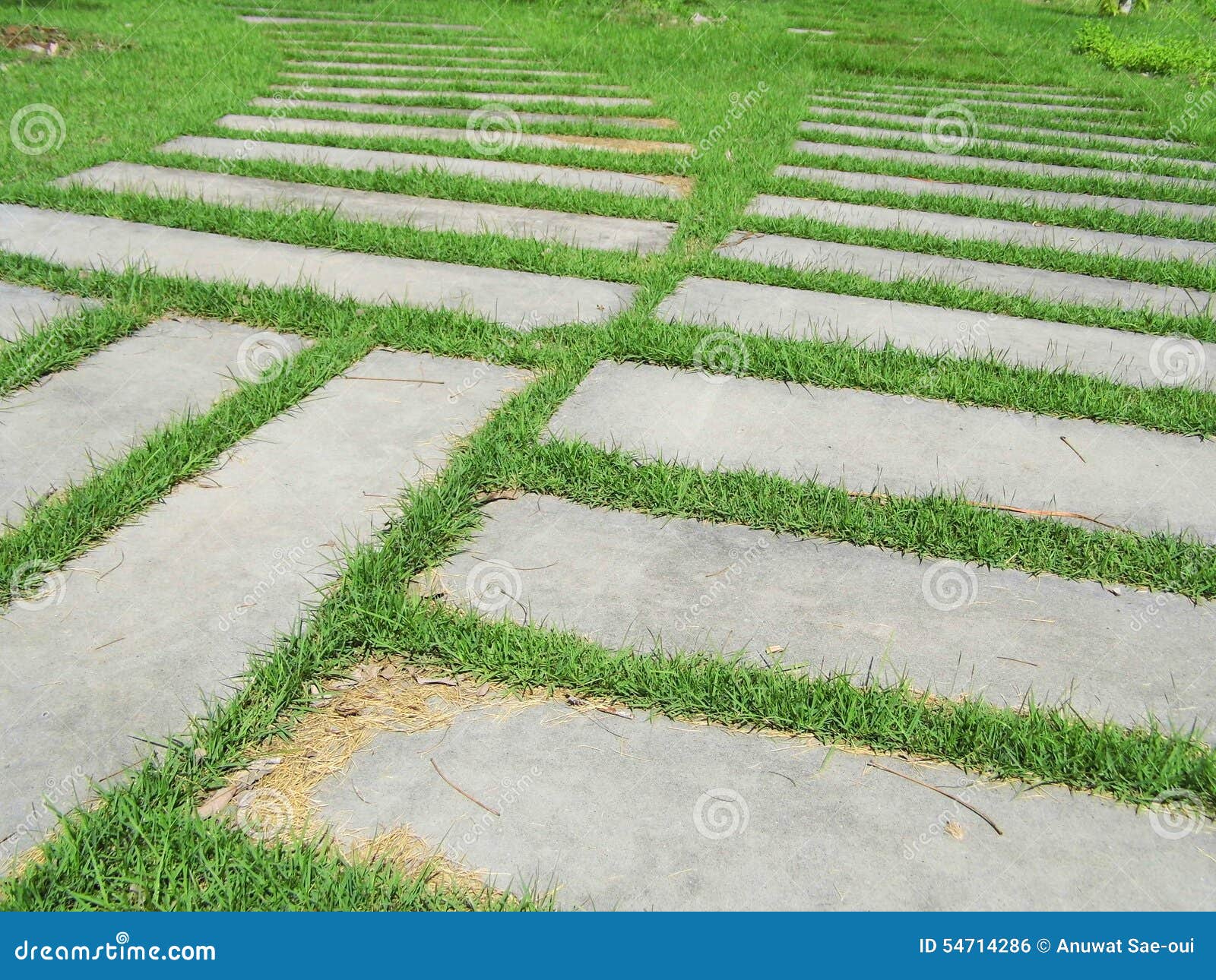 Footpath with green glass stock photo. Image of nature - 54714286