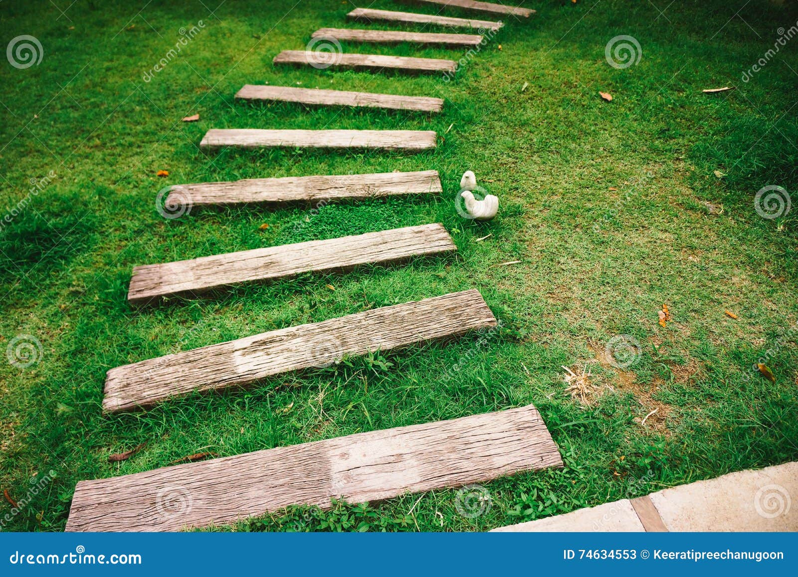 Footpath on the Green Grass Stock Image - Image of gardening, backyard ...