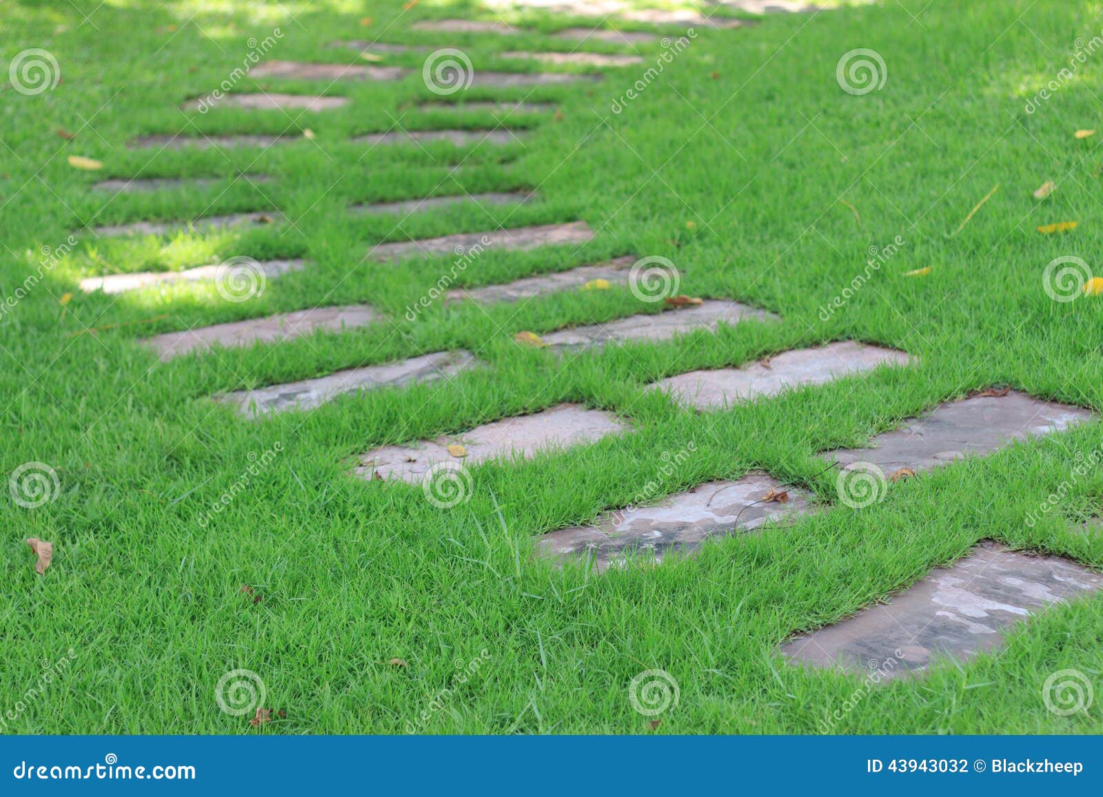 Footpath stock photo. Image of outside, garden, direction - 43943032