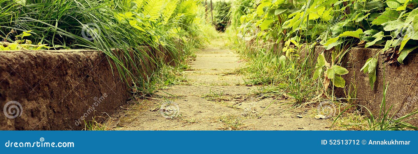 Footpath and green grass stock photo. Image of scene - 52513712