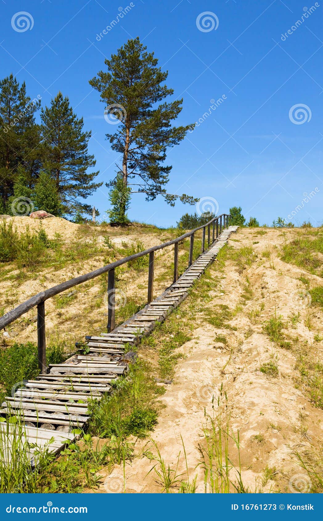 Footpath on a Hill To Pines Stock Image - Image of forest, scenic: 16761273